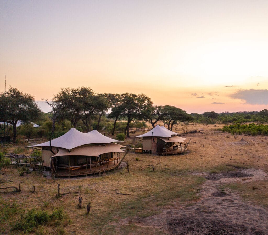 Somalisa Camp | Scintilla