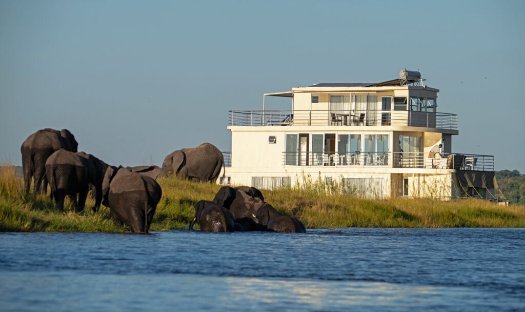 Chobe Princess Cruise | Experiences | Scintilla Travel