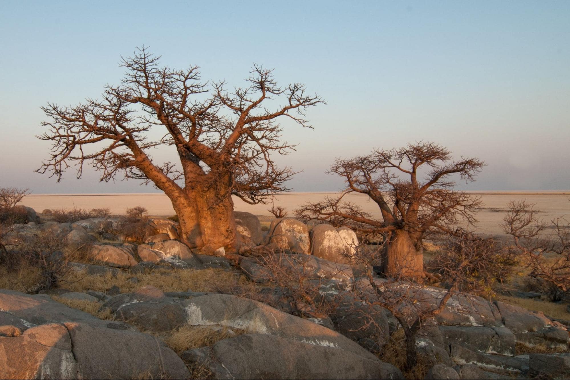 Must-Visit Destinations in Botswana | Scintilla Travel